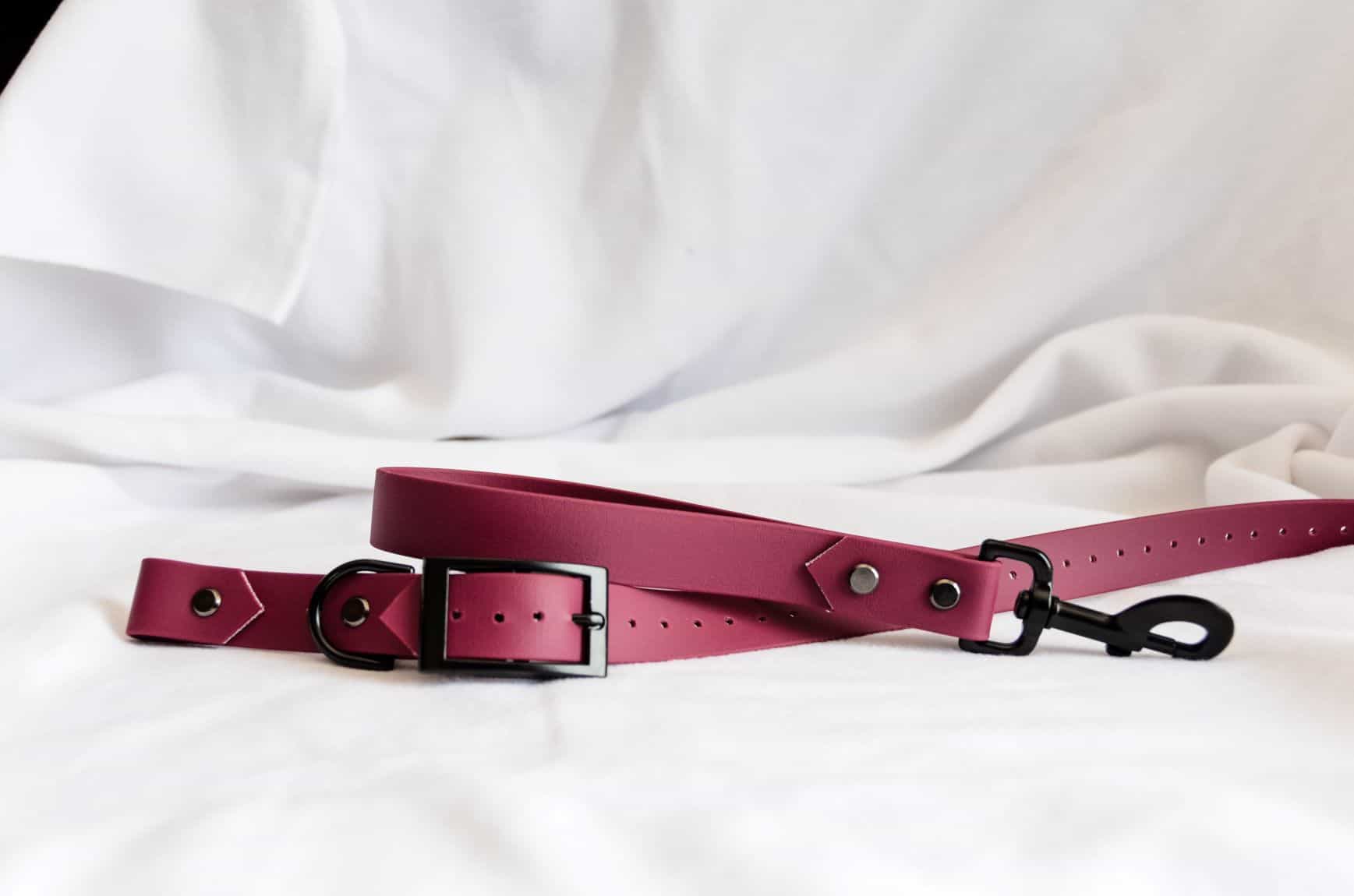 Biothane Leashes by Pimped Out Pup | Custom Leashes