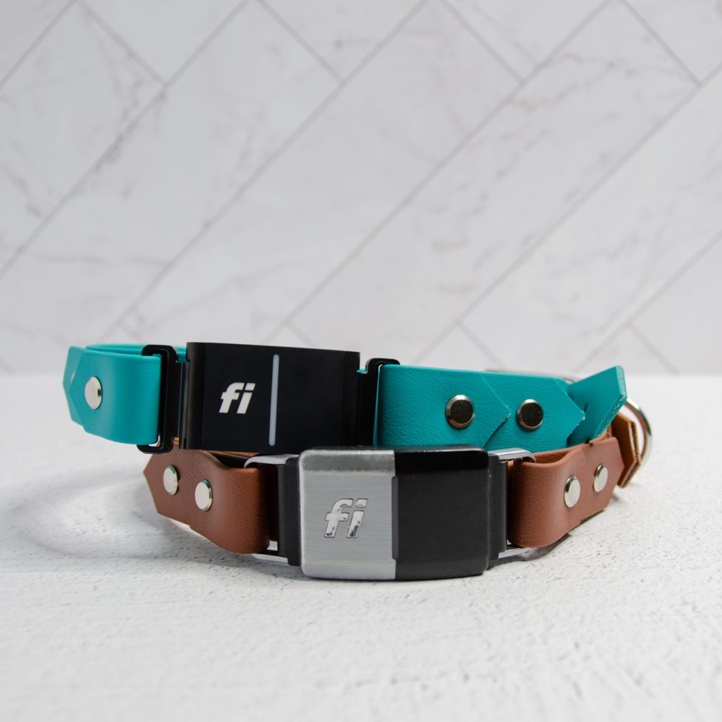 Fi Compatible Biothane Dog Collar | On the Collar Attachment